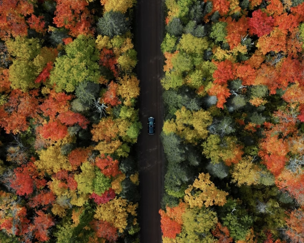 Best Scenic North Shore Drives for Fall Colors – Lizanne Lately